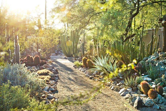 Tucson Botanical Garden