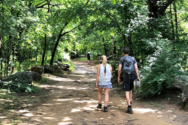 Turkey Mountain Urban Wilderness Area