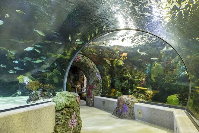 Virginia Aquarium & Marine Science Center