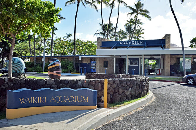 Waikiki Aquarium