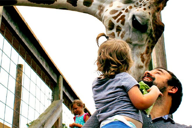 Zooworld Panama City Beach