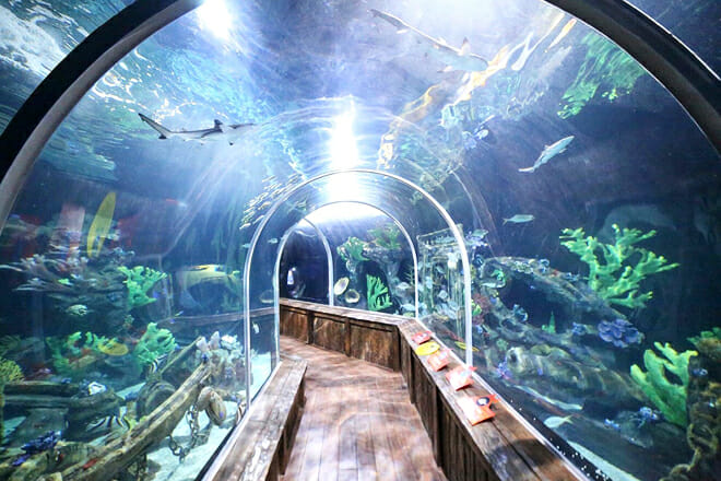 Aquamundo Sambil &mdash; Sto. Domingo