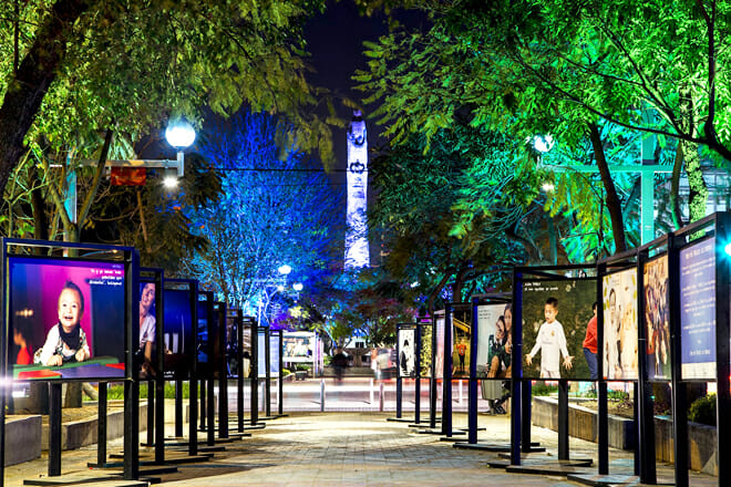 Avenida Chapultepec &ndash; Guadalajara