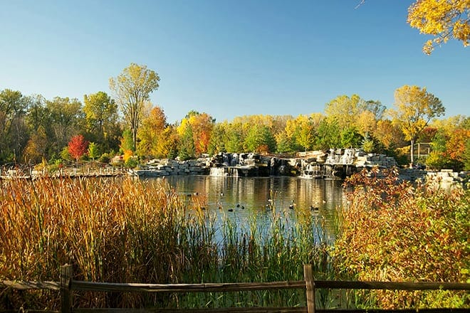 Bay Beach Wildlife Sanctuary