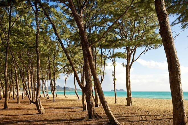 Bellows Field Beach &mdash; Waimanalo