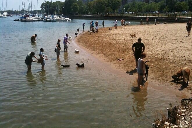 Belmont Harbor Dog Beach