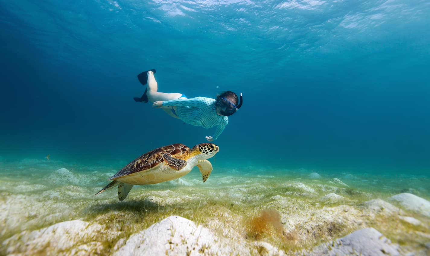 Best Things To Do In Mexico