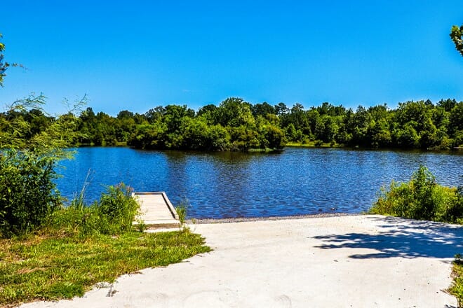 Blackwater Conservation Area &mdash; Baton Rouge