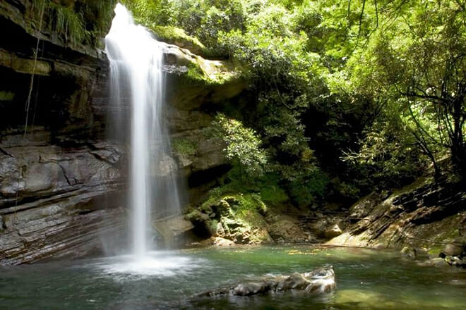 Blue and John Crow Mountains National Park