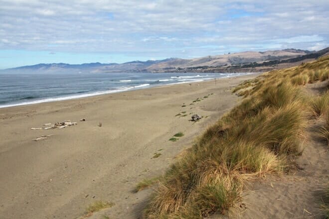 Bodega Dunes