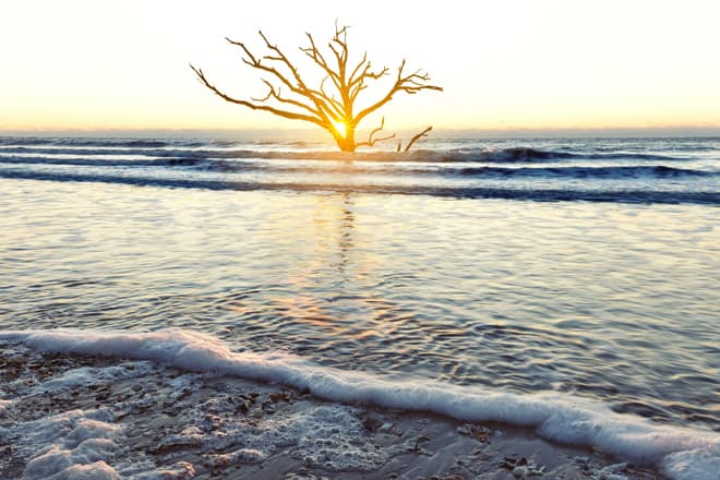 Botany Bay Heritage Preserve
