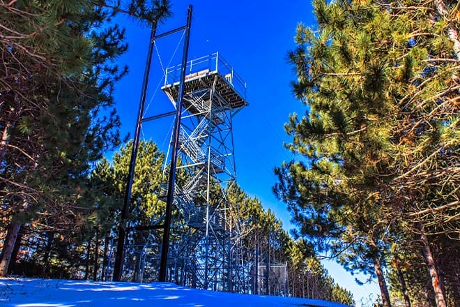 Brown County Reforestation Camp