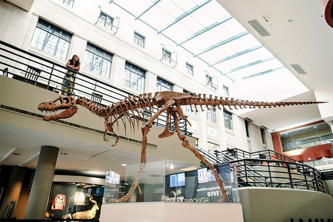 Buffalo Museum of Science