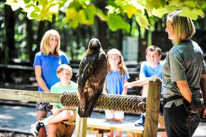 Carolina Raptor Center