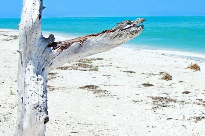 Cayo Costa State Park