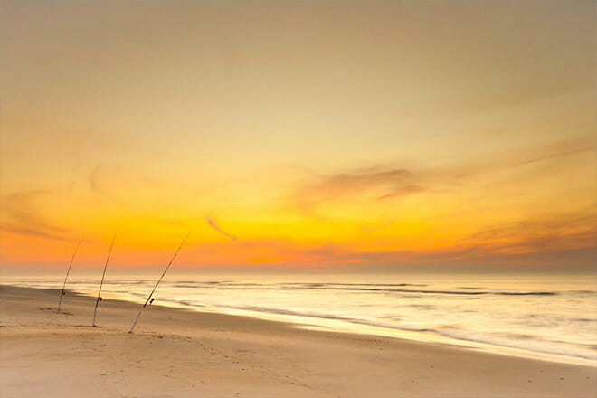 Chincoteague National Wildlife Refuge &mdash; Virginia