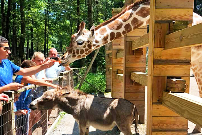 Claws 'N' Paws Wild Animal Park &mdash; Lake Ariel