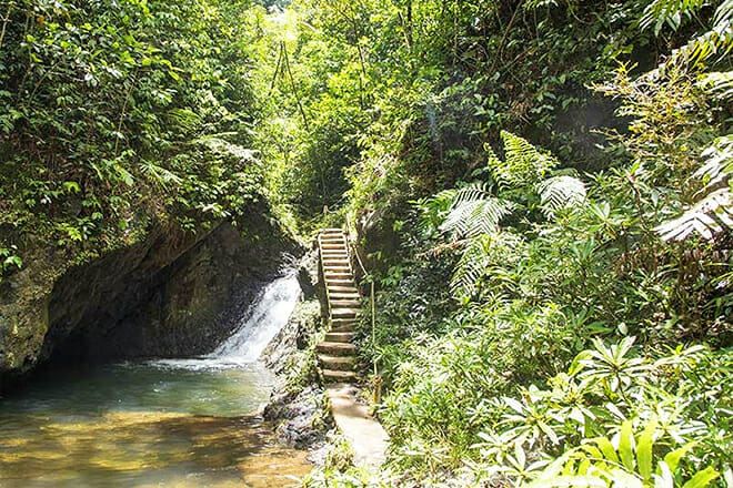 Colo I Suva Forest Park