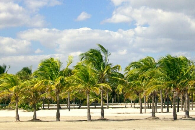 Crandon Park Beach