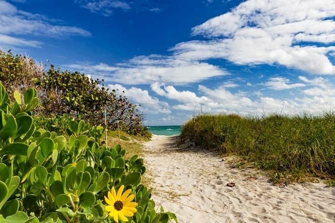 Dr. Von D. Mizell Eula Johnson State Park