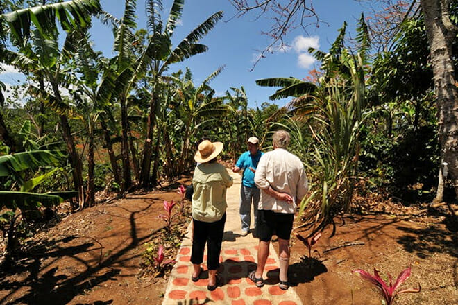 Esp&iacute;ritu Santo Coffee Tour