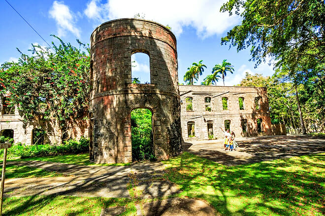 Farley Hill National Park &mdash; Benny Hall, St. Peter