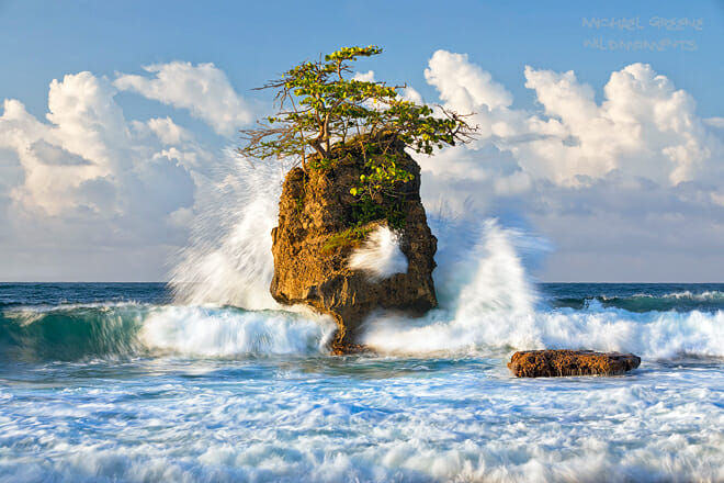 Gandoca Manzanillo Wildlife Refuge