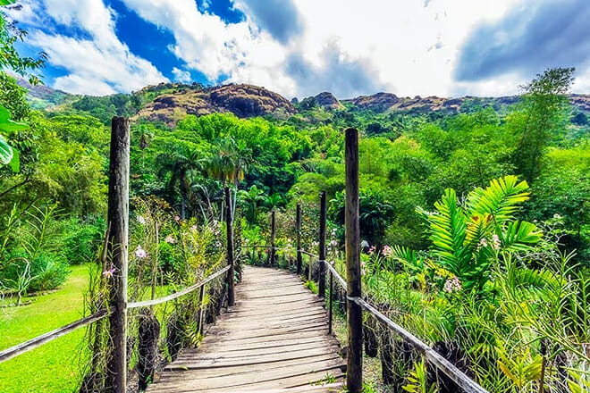 Garden Of The Sleeping Giant