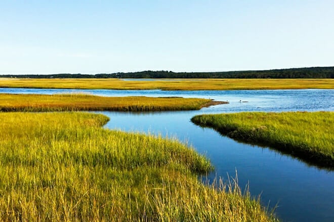 Great Salt Marsh