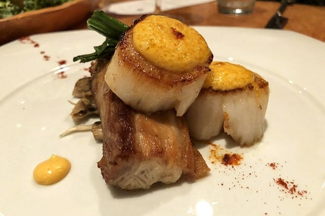 Halcyon Flavors From the Earth