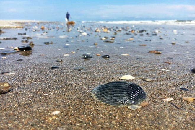 Hammocks Beach State Park &mdash; Swansboro