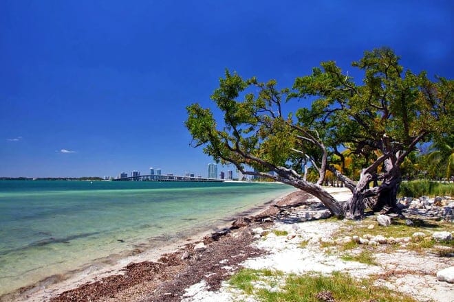 Hobie Island Beach Park