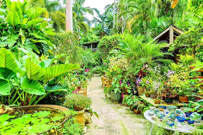 Hunte&rsquo;s Gardens &mdash; Coffee Gully, St. Joseph
