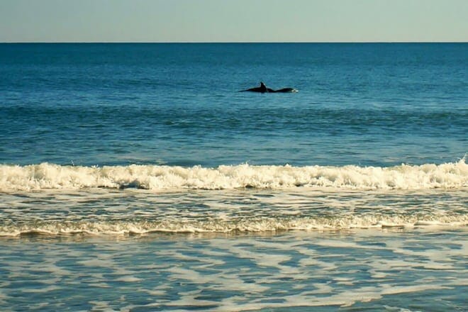 Huntington Beach State Park &mdash; Murrells Inlet