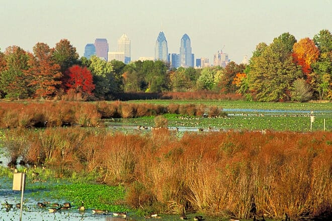 John Heinz National Wildlife Refuge at Tinicum