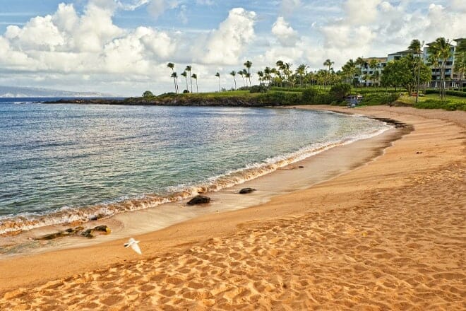 Kapalua Bay Beach — Kapalua