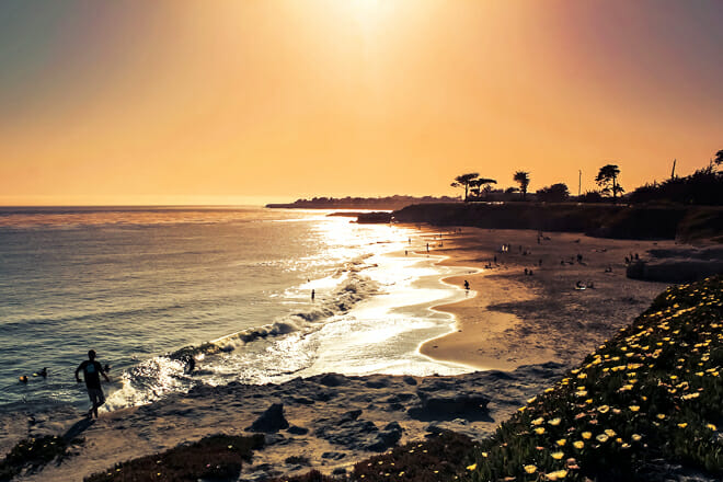 Lighthouse Field State Beach — Santa Cruz