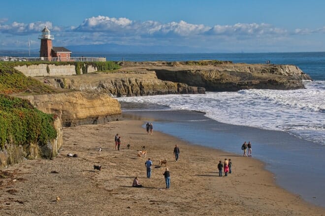 Lighthouse Field State Beach