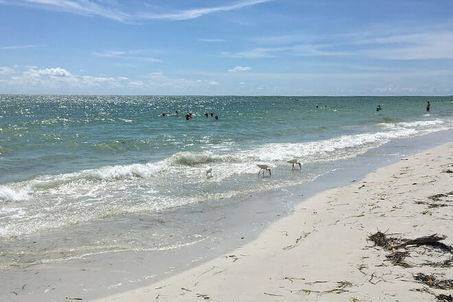 madeira beach &ndash; pinellas county
