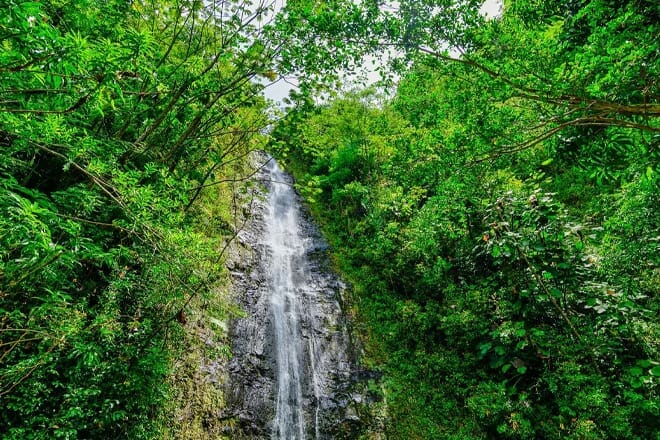 Manoa Falls
