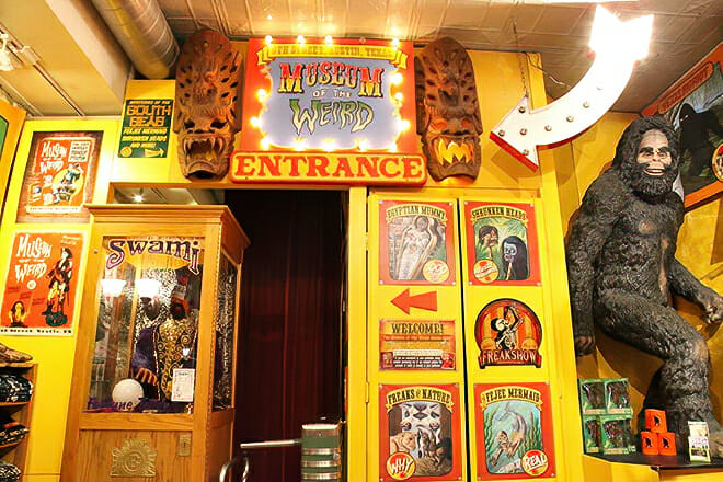 Museum of the Weird