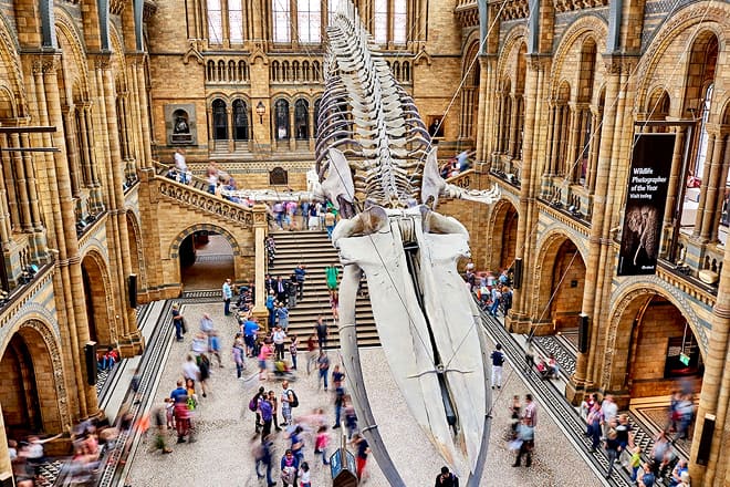 Natural History Museum