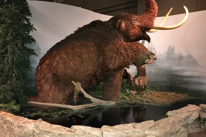 Neville Public Museum