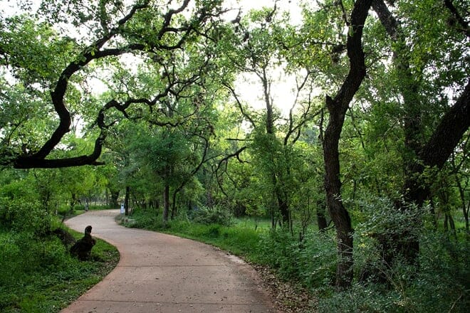 Phil Hardberger Park