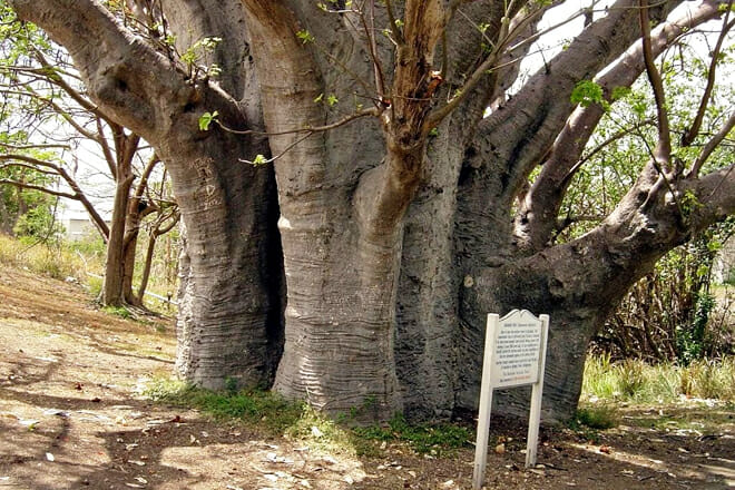 Queens Park &mdash; Bridgetown, St. Michael