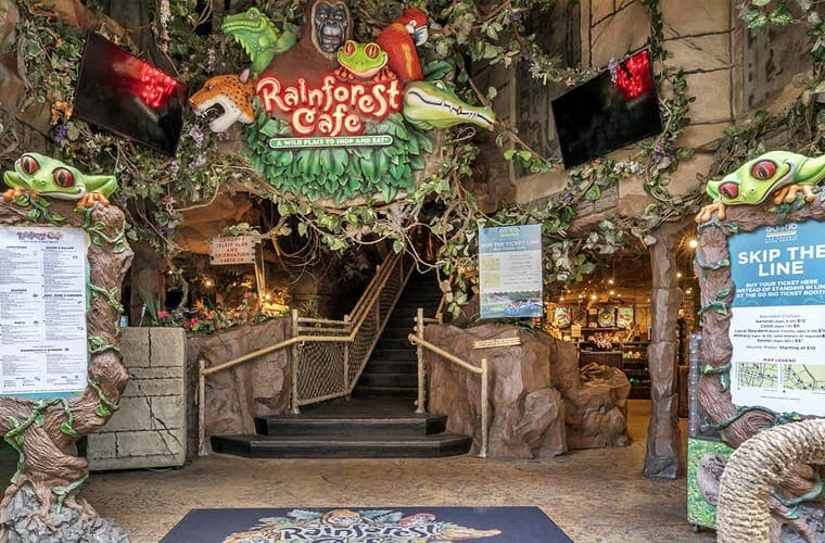 Rainforest Cafe
