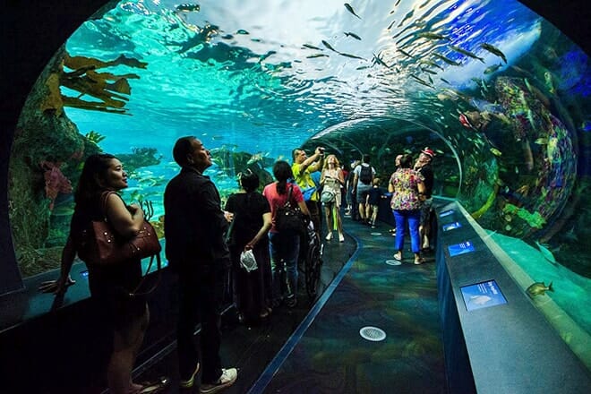 Ripley&rsquo;s Aquarium of Canada