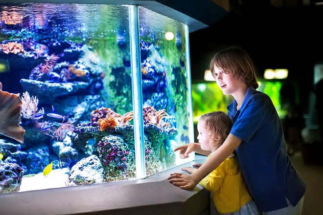 South Carolina Aquarium