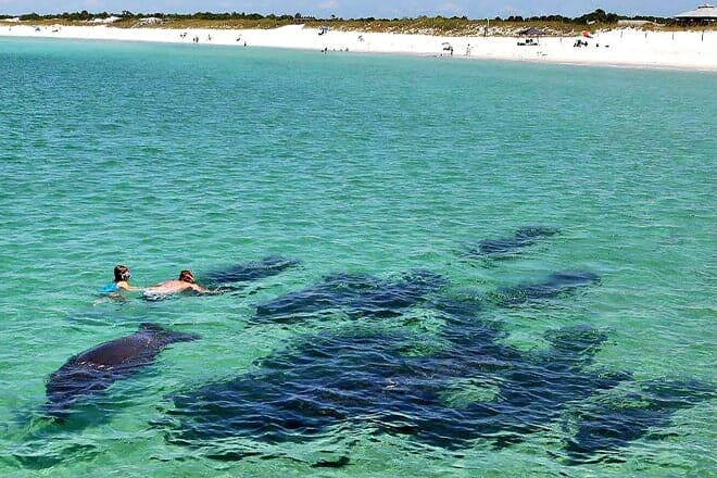St. Andrews State Park Beach &mdash; Panama City Beach