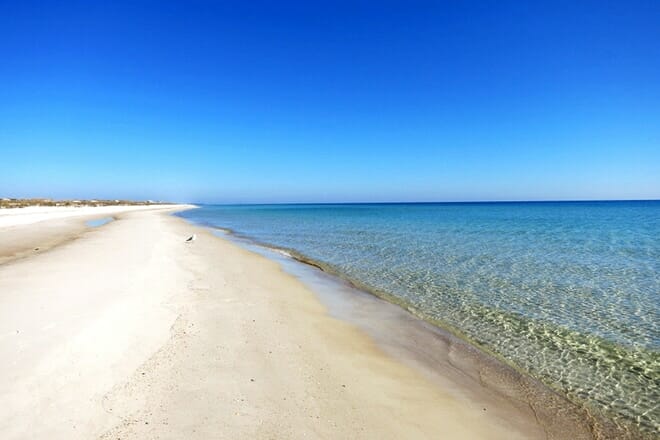 St. George Island State Park &mdash; St. George Island